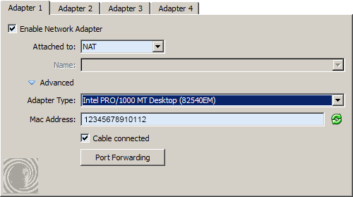 Virtual Box Network Adapters, Explained ? - virtualbox.org
